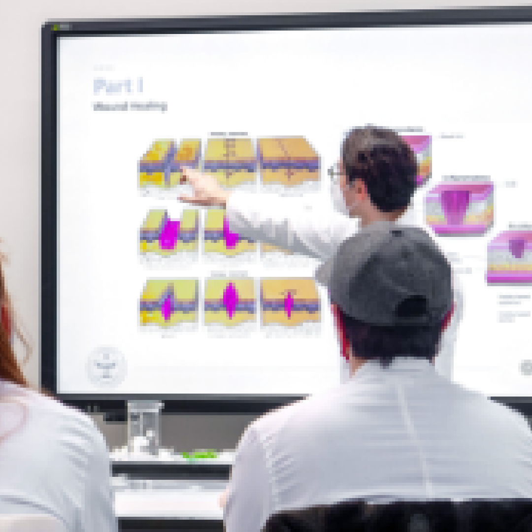 College-Semester – MSA Academy